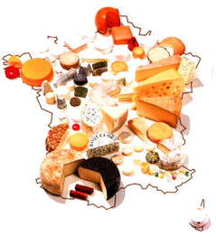 French Cheese the Full Story